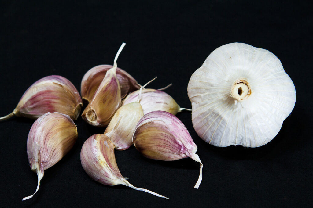 Organic Romanian Red Seed Garlic - The Worcester County Conservation ...